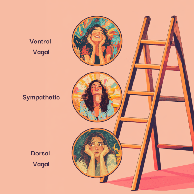The Polyvagal Ladder for Nervous System Regulation | RegulateCo